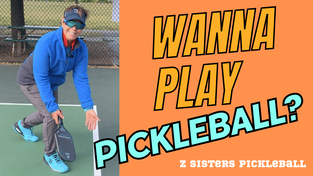 The Parts of a Pickleball Court - Z Sisters Pickleball